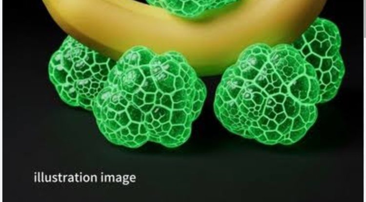 The science behind fruit's atomic secret - Gamanetonline- Tech & Tech ...
